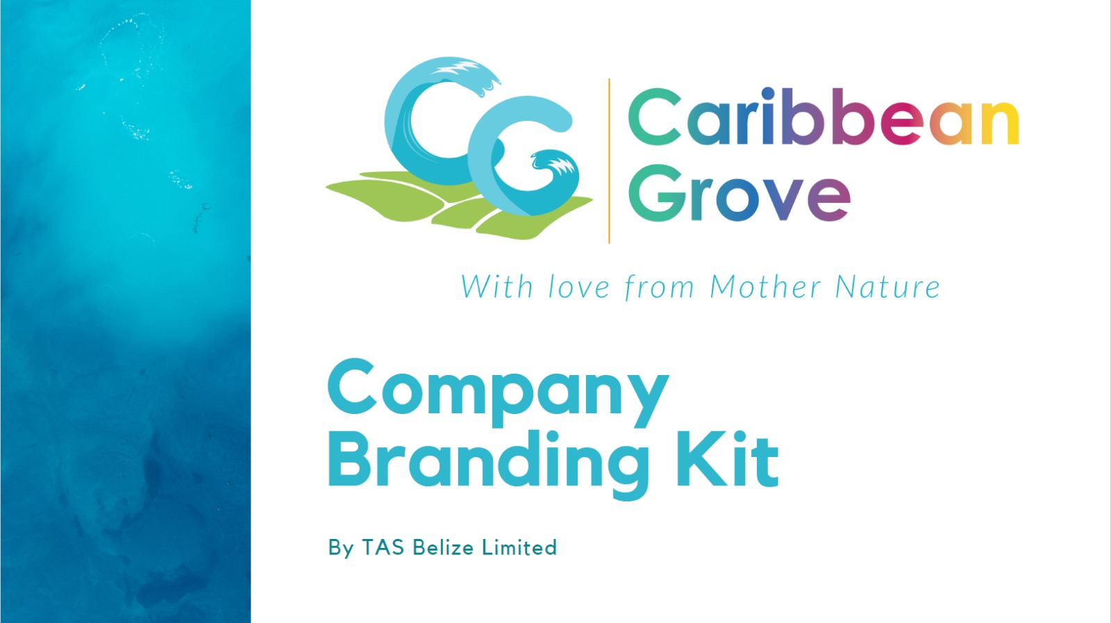 Caribbean Groves Branding Kit | TAS Digital Agency | Scalable Web ...